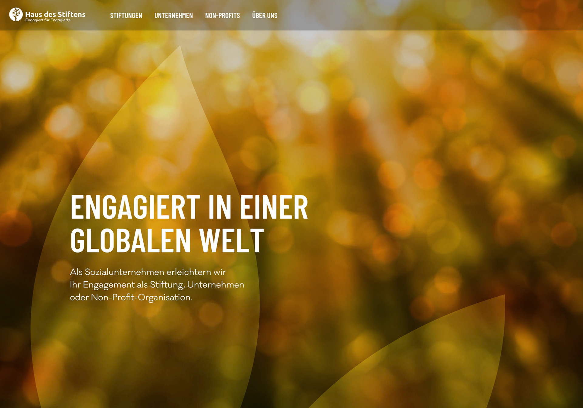 Haus des Stiftens: Engagiert für Engagierte
